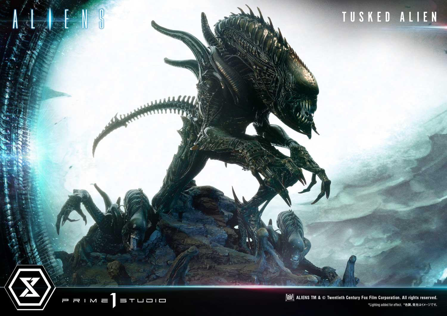 Prime 1 Studio PMDHAL-05 1/4 Dark Horse Comics - Tusked Alien - One ...