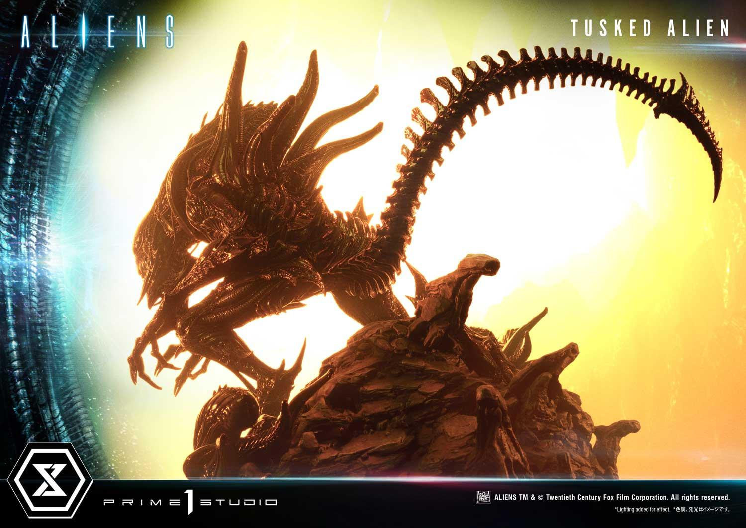 Prime 1 Studio PMDHAL-05 1/4 Dark Horse Comics - Tusked Alien - One ...