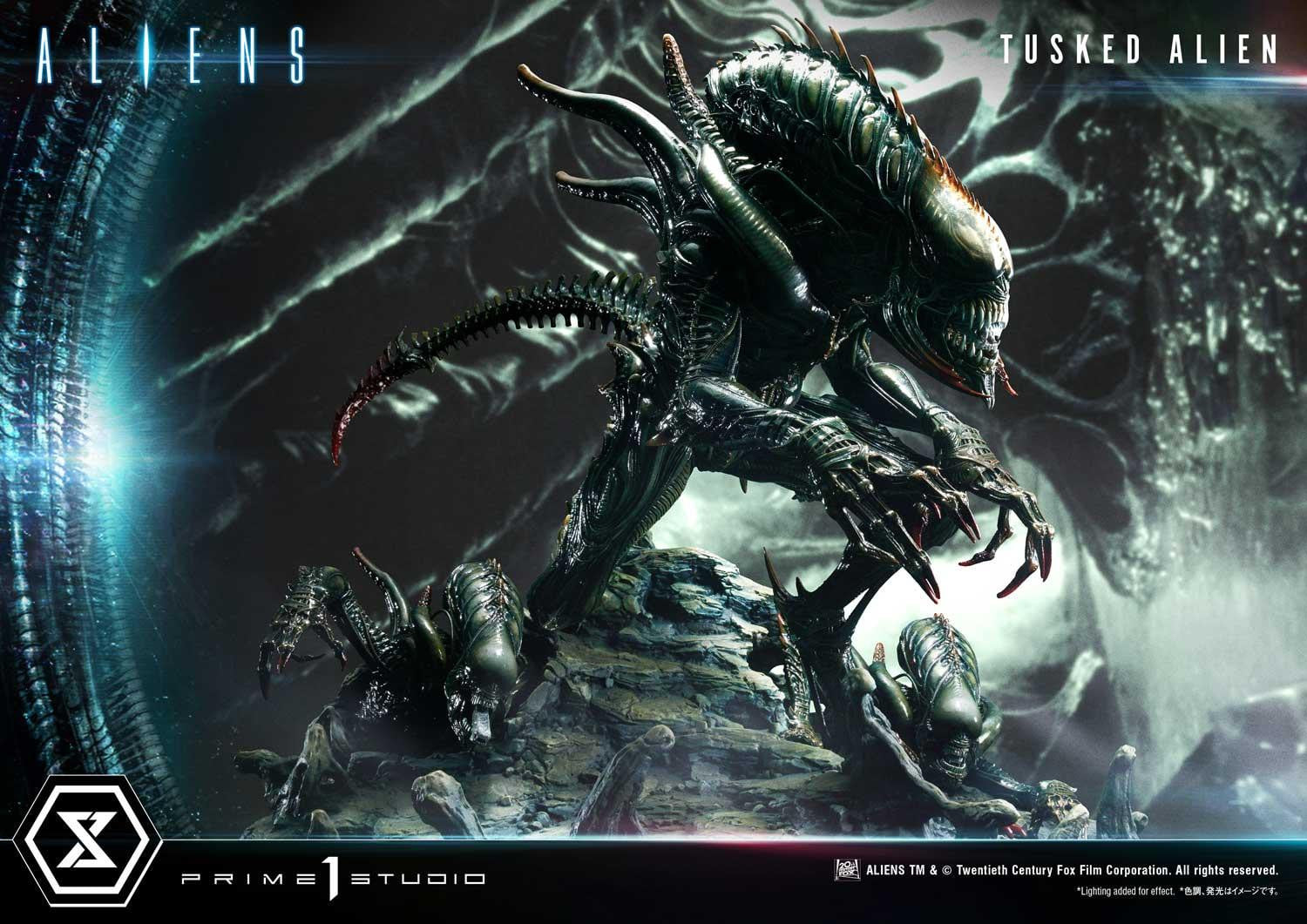Prime 1 Studio PMDHAL-05 1/4 Dark Horse Comics - Tusked Alien - One ...
